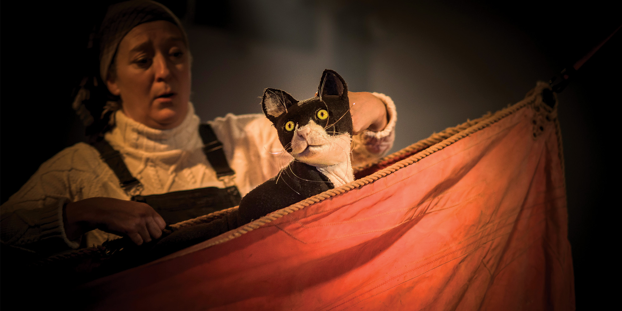 Mowzer's back for Christmas! - Cousin Jack's | Cornwall Living