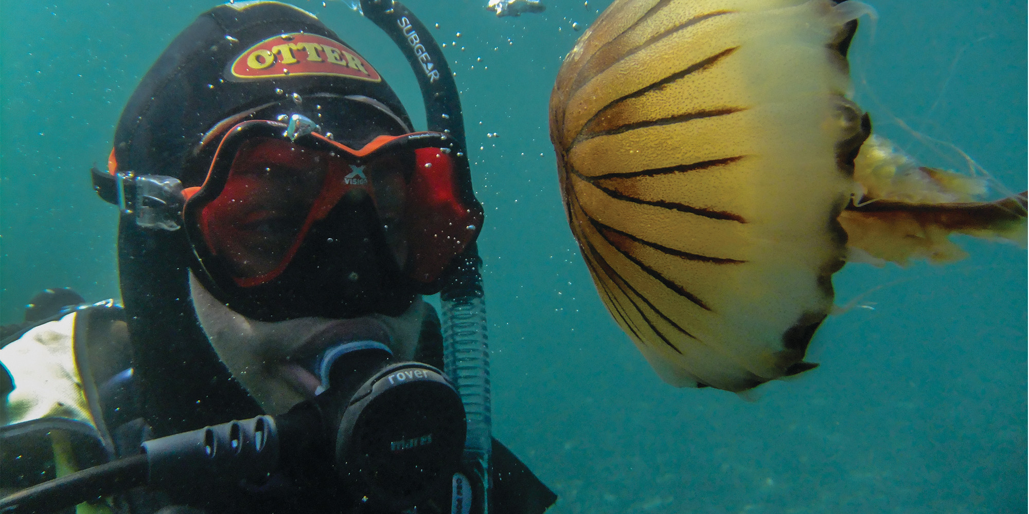 Dive into another world with Kennack Diving | Cornwall Living