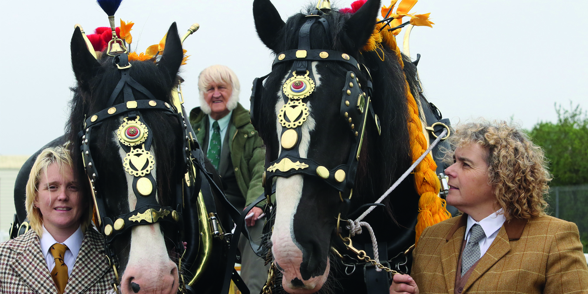 Best in show - Royal Cornwall Show 2018 | Cornwall Living