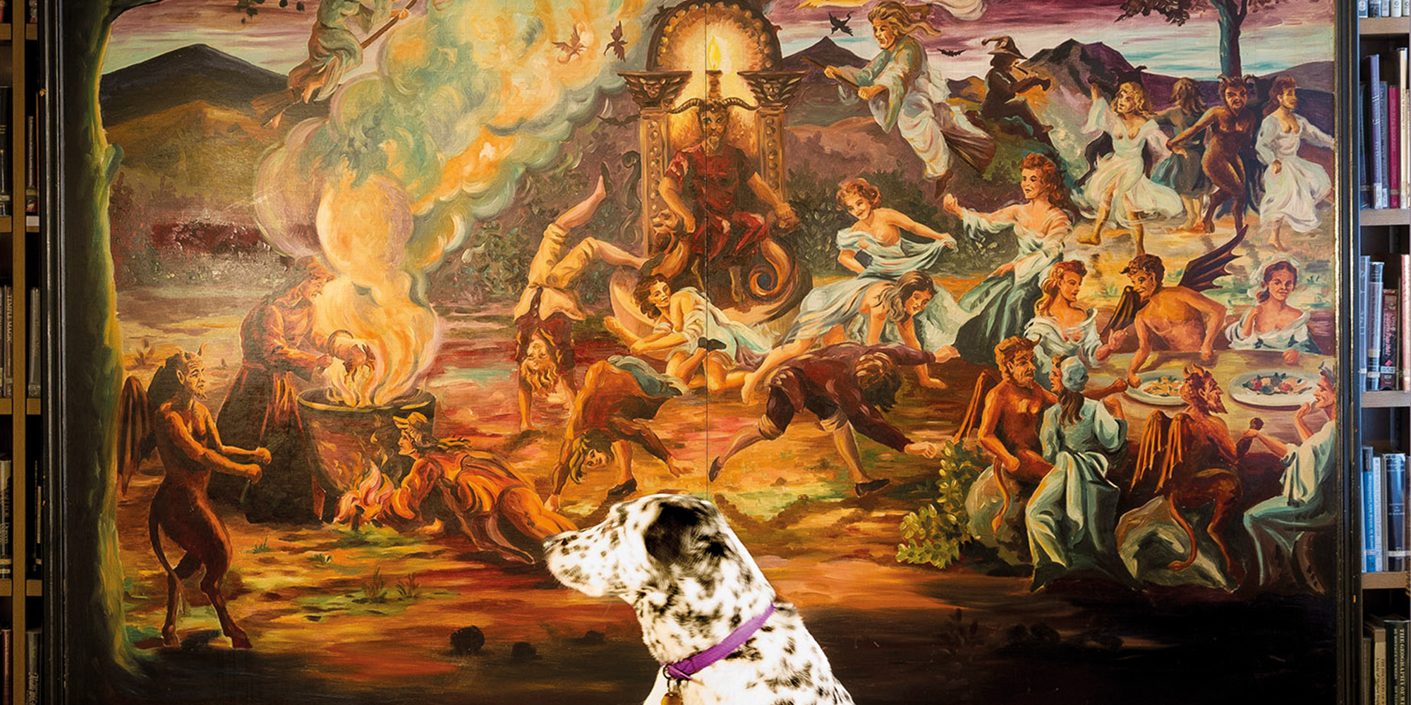 Witches, walks and waggly tails at the Museum of Witchcraft | Dogs Love ...