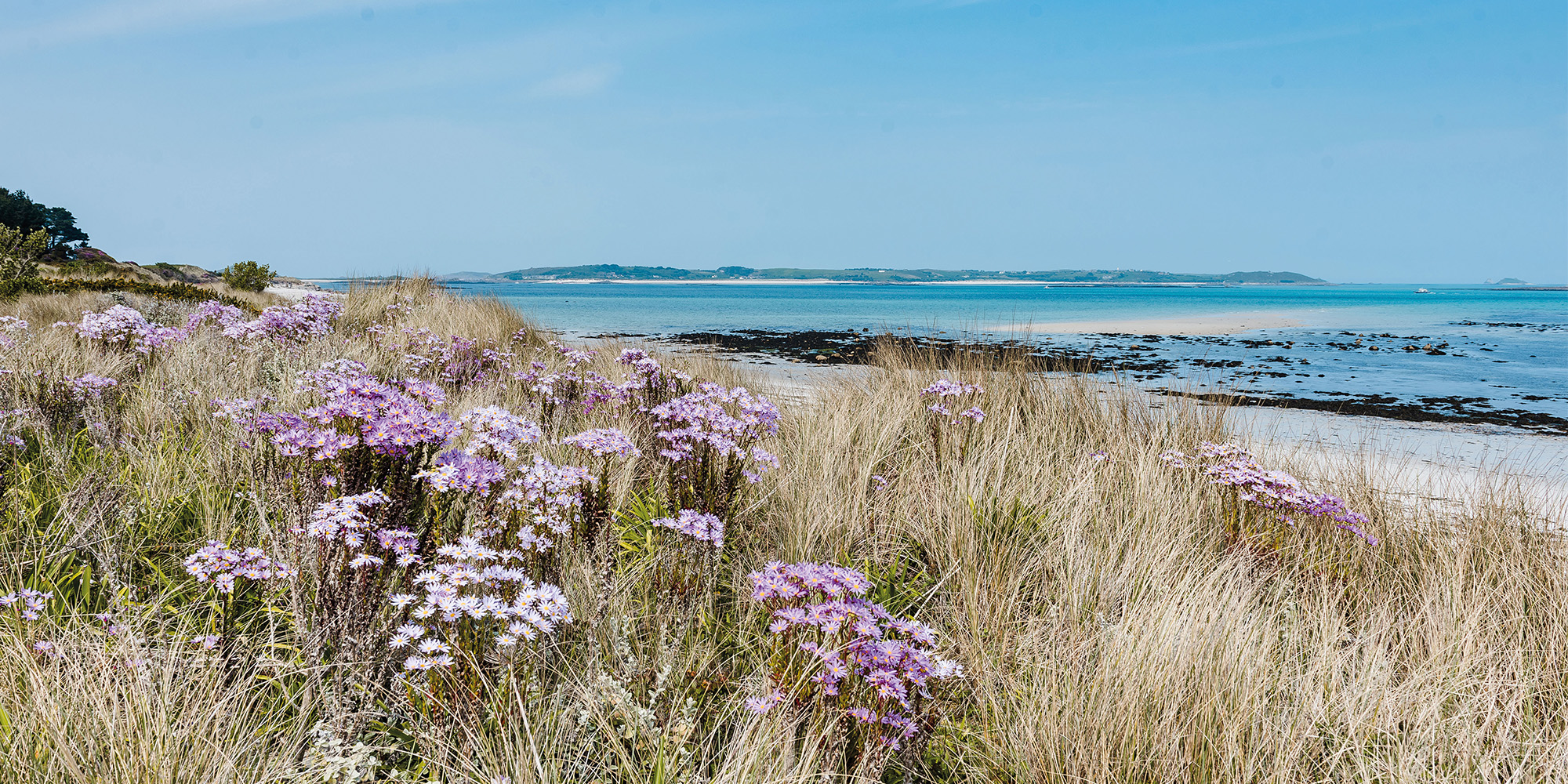 Embrace spring early with Isles of Scilly Travel | Cornwall Living