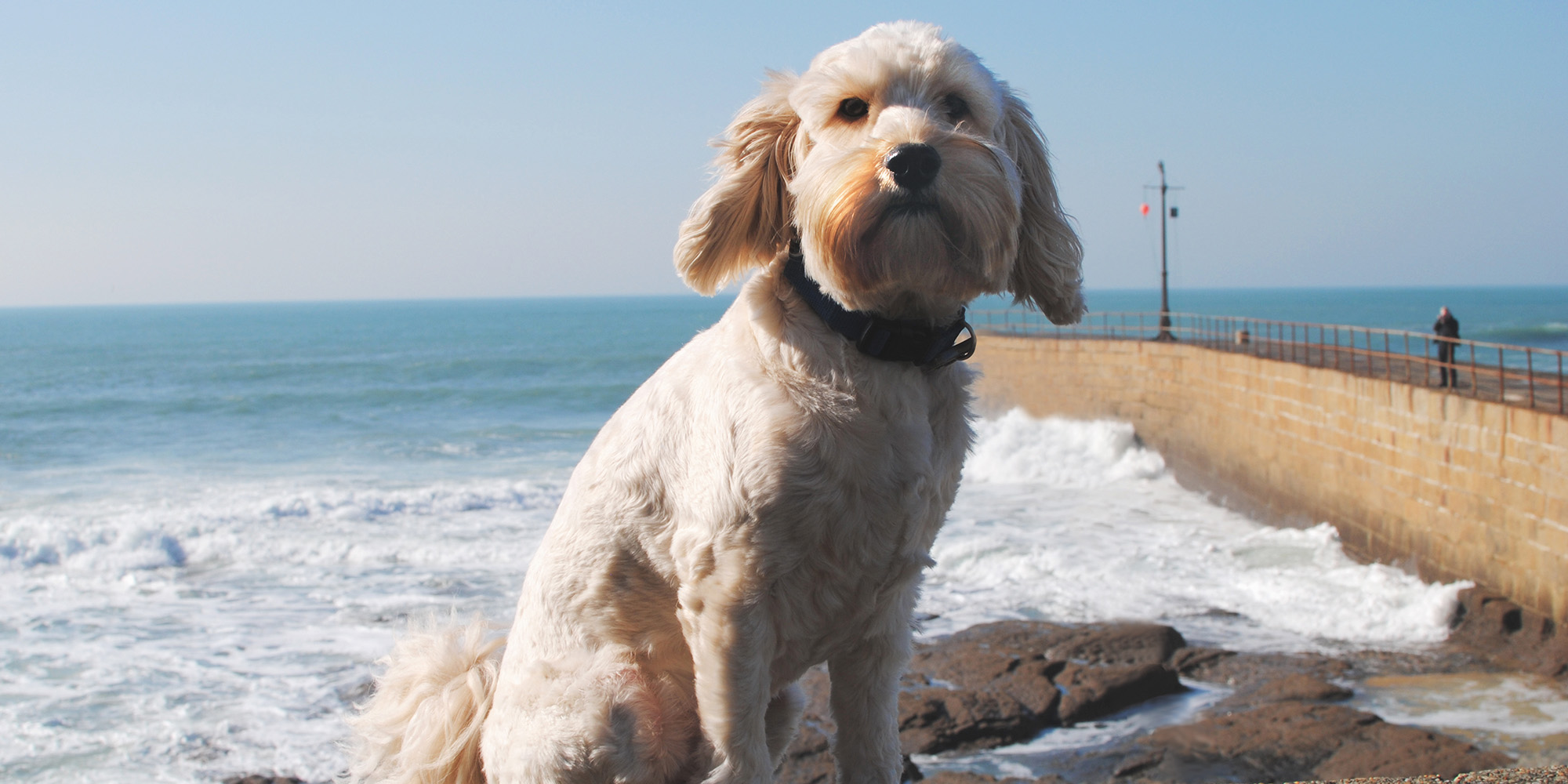 Meet Bryher | Cornwall Living