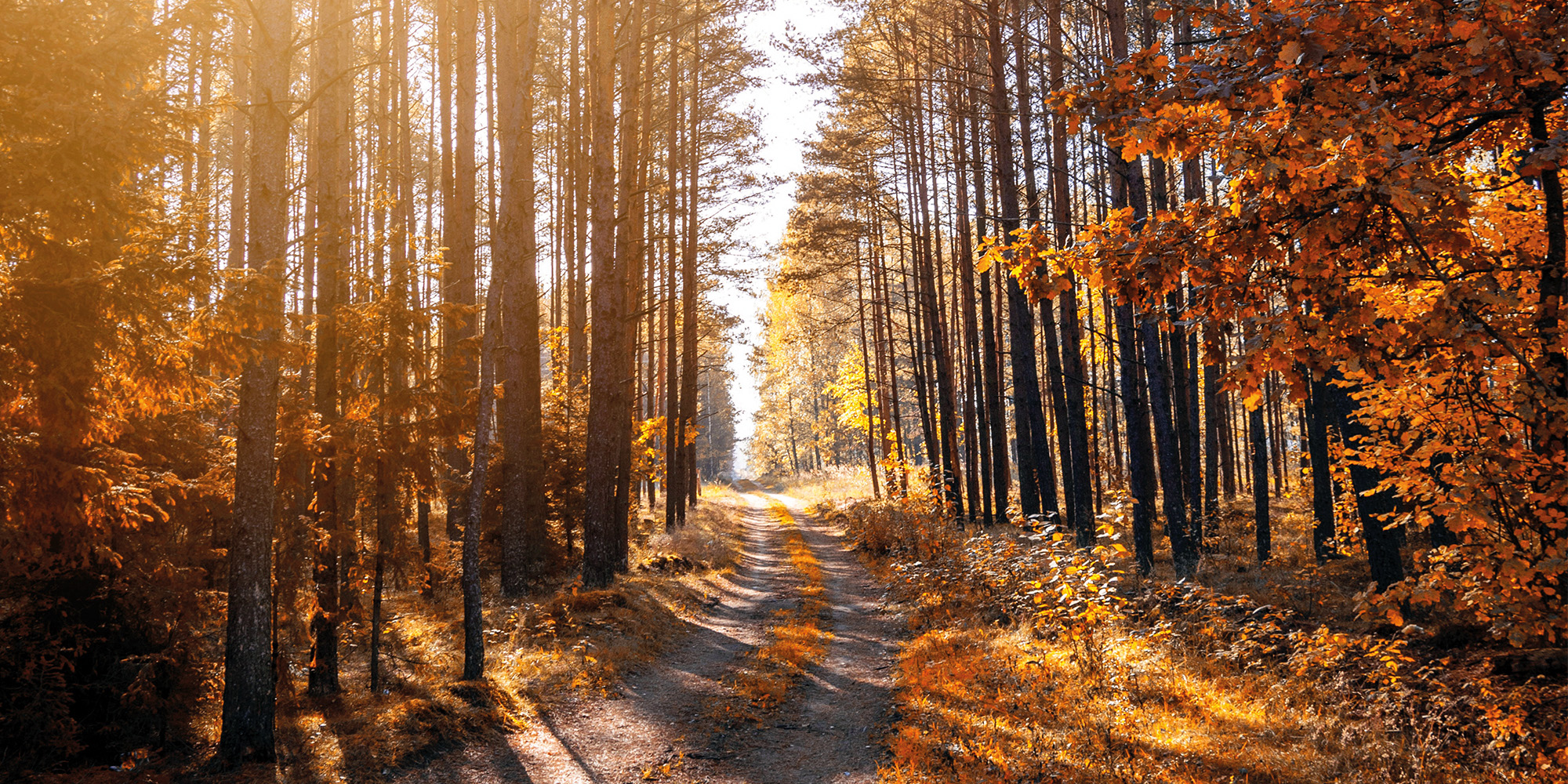 Positive change with Kuggar Stoves | Cornwall Living