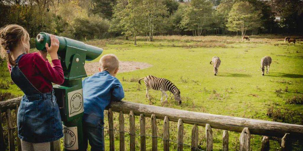 Days out for families in Cornwall | Cornwall Living