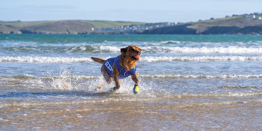 Got to experience | Cornwall Living