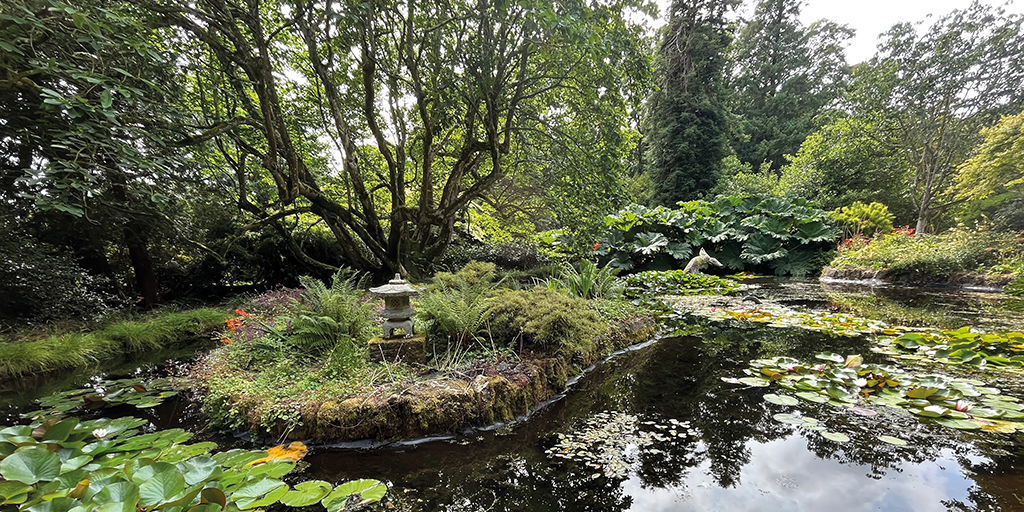 Discover Trewidden Garden in the wild west of Cornwall | Cornwall Living