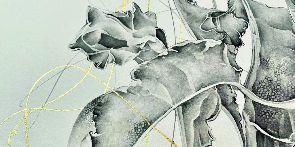 Intricate illustrations | Cornwall Living