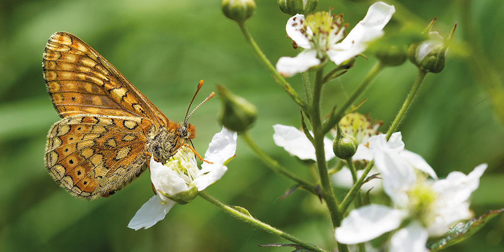 Transformative New Investment | Cornwall Living