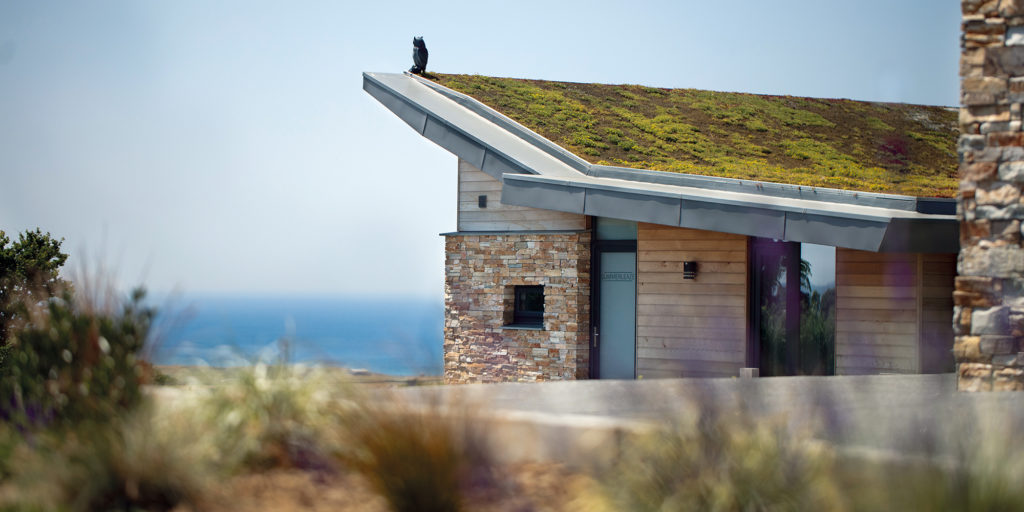 Creating memories to take home at Wooda Farm | Cornwall Living