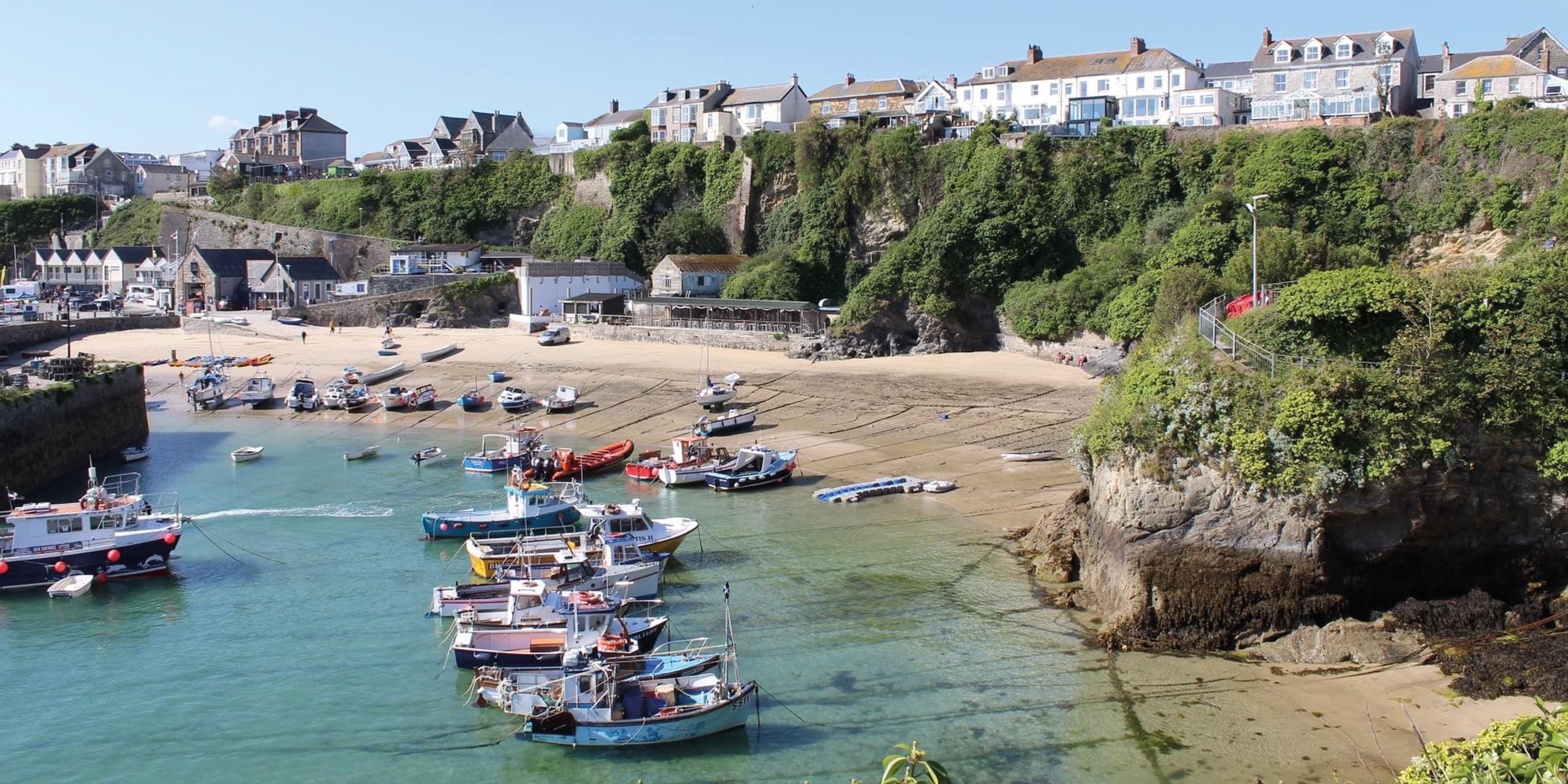 5 of the best dog-friendly places to eat in Cornwall | Cornwall Living